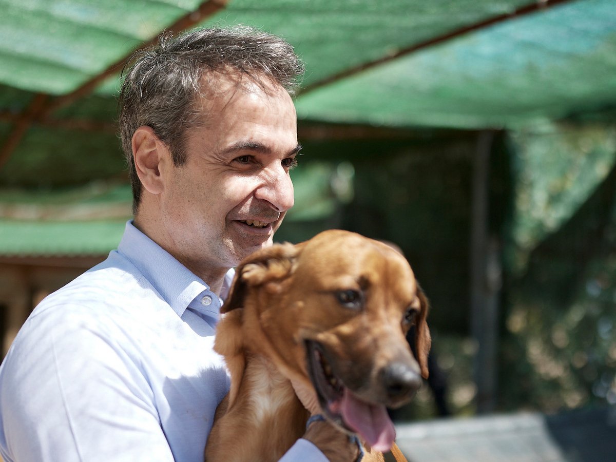 Μητσοτάκης για την Παγκόσμια Ημέρα Αδέσποτων Ζώων: Κανένα ζώο αδέσποτο ...
